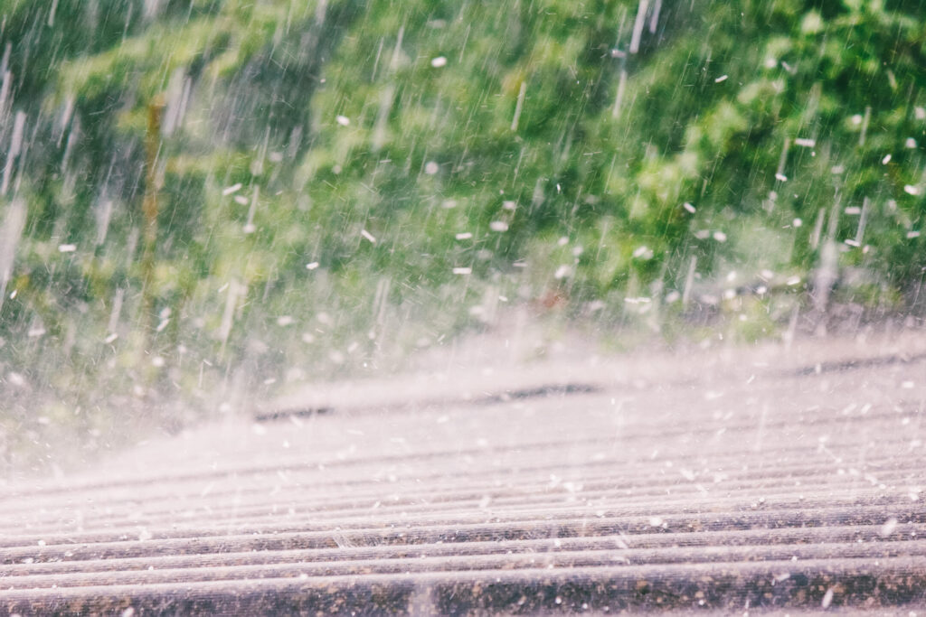 Hail Damage Vs Blistering: 5 Important Differences